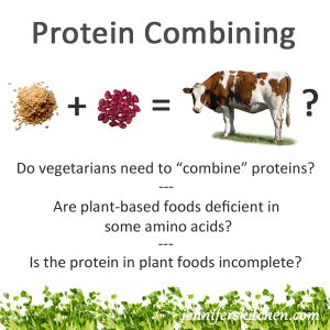How Much Protein Do You Need? - JennifersKitchen