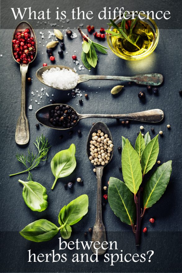 What Is The Difference Between Herbs And Spices Jenniferskitchen