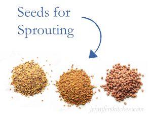 How to Grow Your Own Sprouts and a Recipe for the Best Sprout Sandwich ...